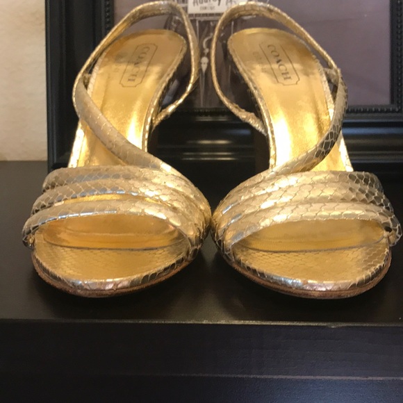 Coach | Shoes | Coach Gold Python Sandals | Poshmark